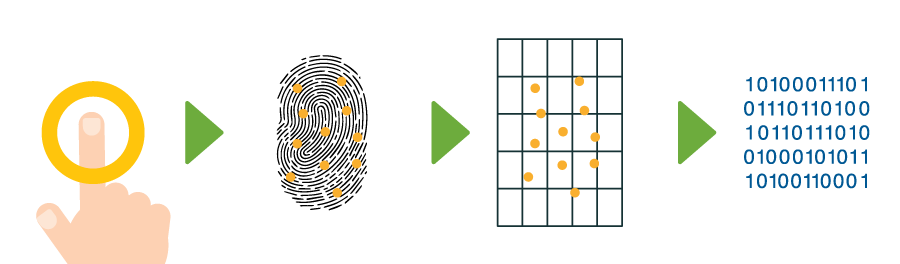 Fingerprint Scanning: 5 Things to Know Before Implementing